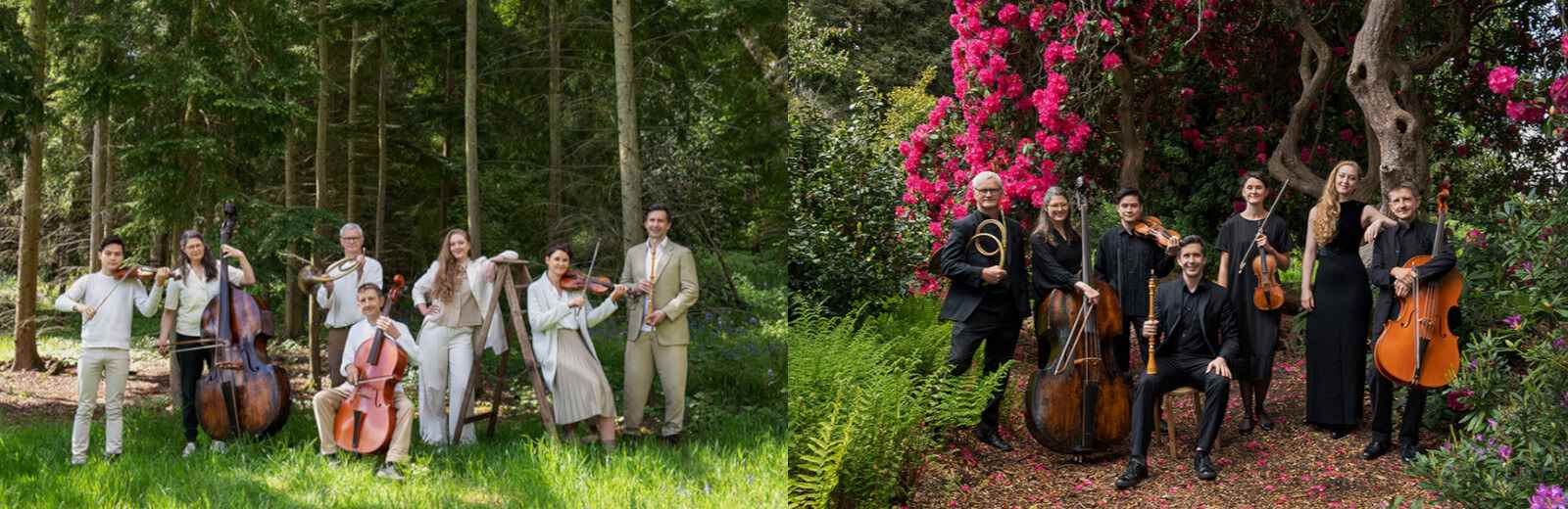 Darlington Hippodrome - Details
