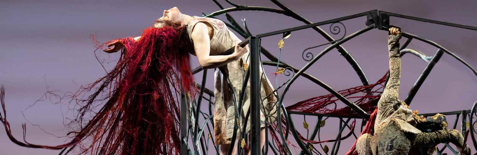 Darlington Hippodrome - Details