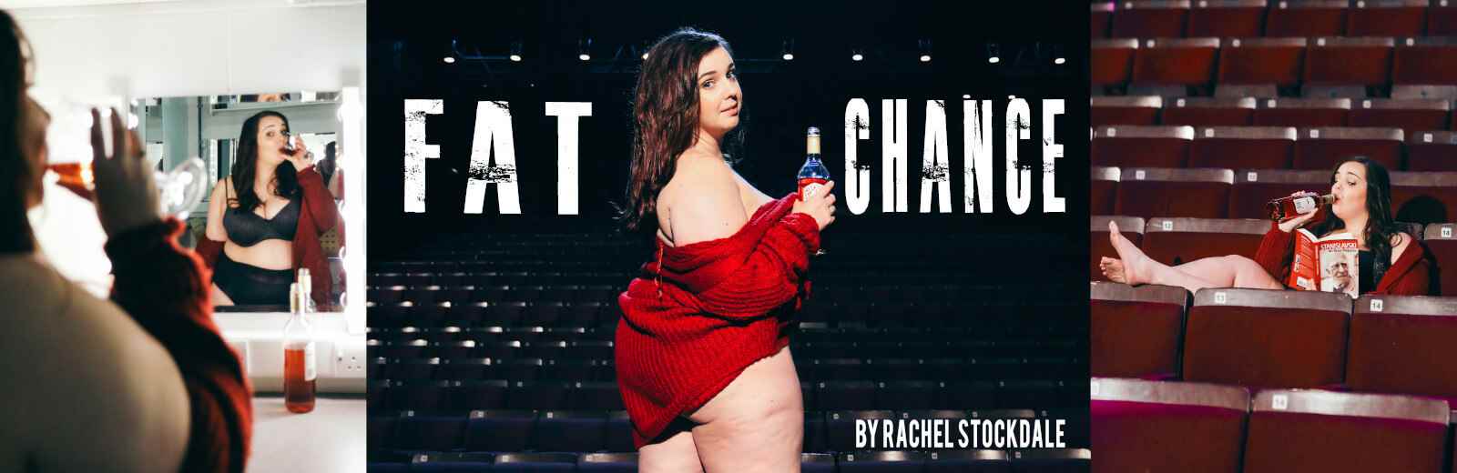 Darlington Hippodrome - Details