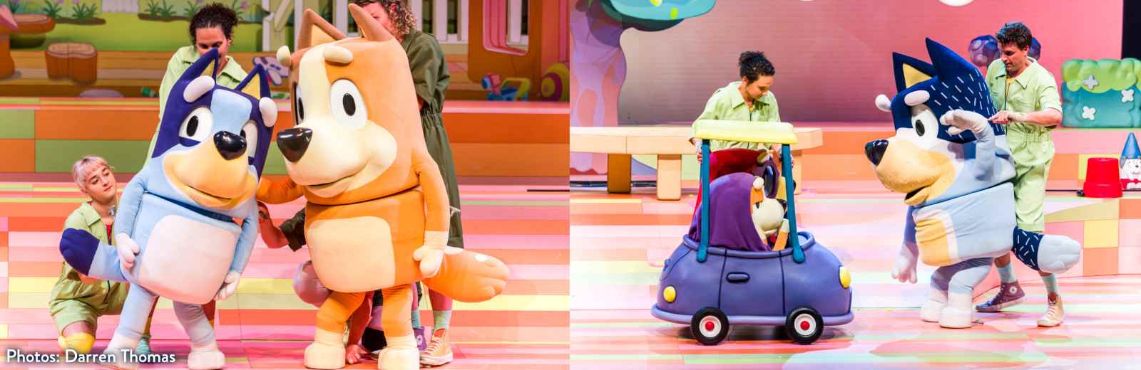 Darlington Hippodrome - Details